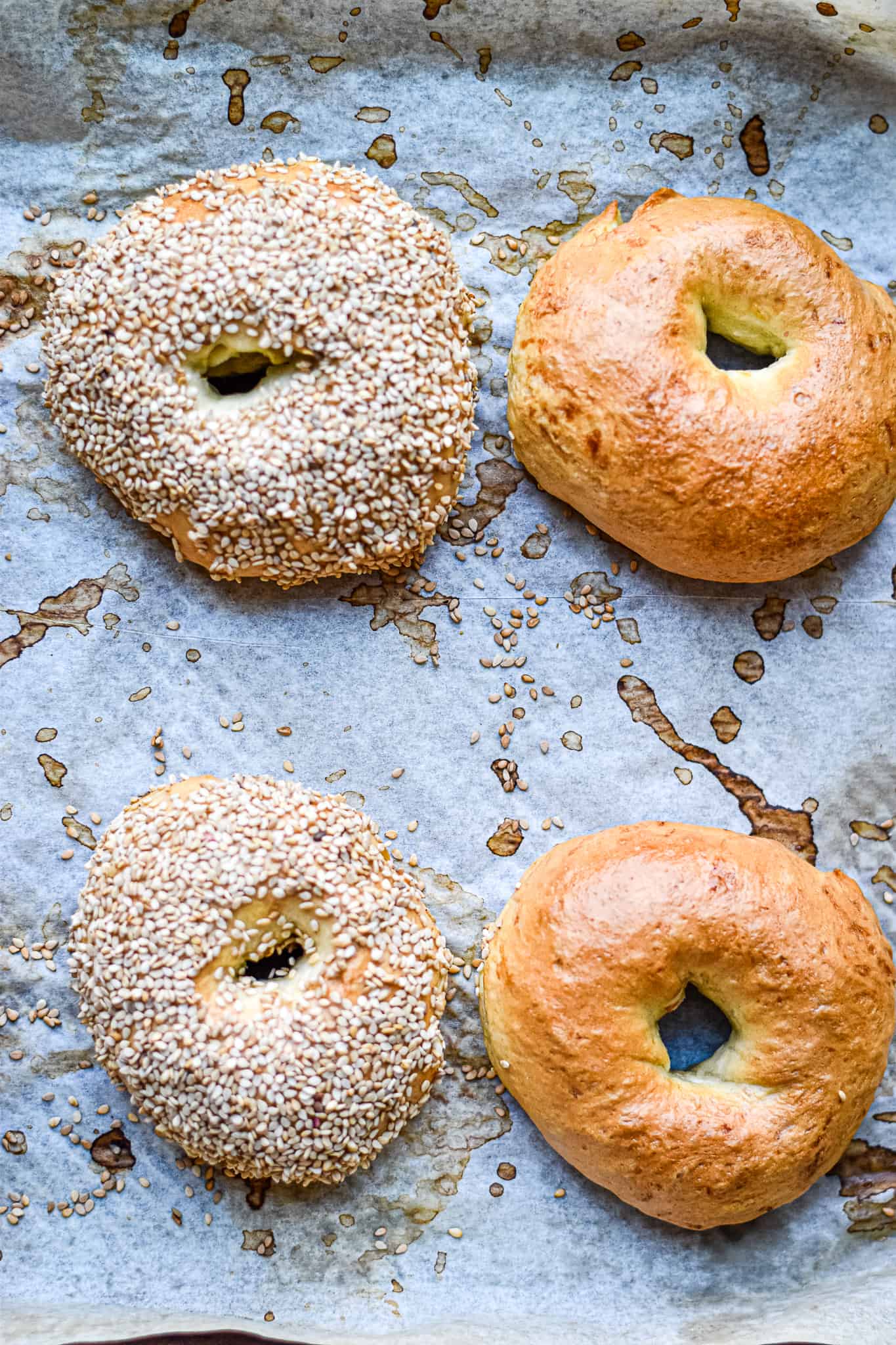 Homemade Bagels- Proofed in the Instant Pot! - Lynn's Way of Life