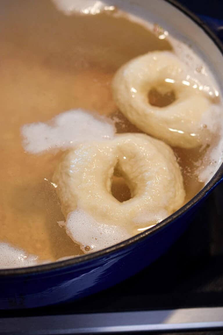 Homemade Instant Pot Bagels (So Easy to Make!) - Lynn's Way of Life