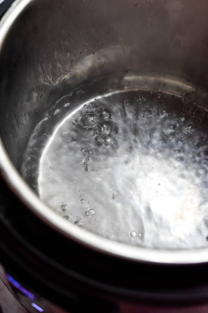 How To Boil Water in an Instant Pot - Lynn's Way of Life