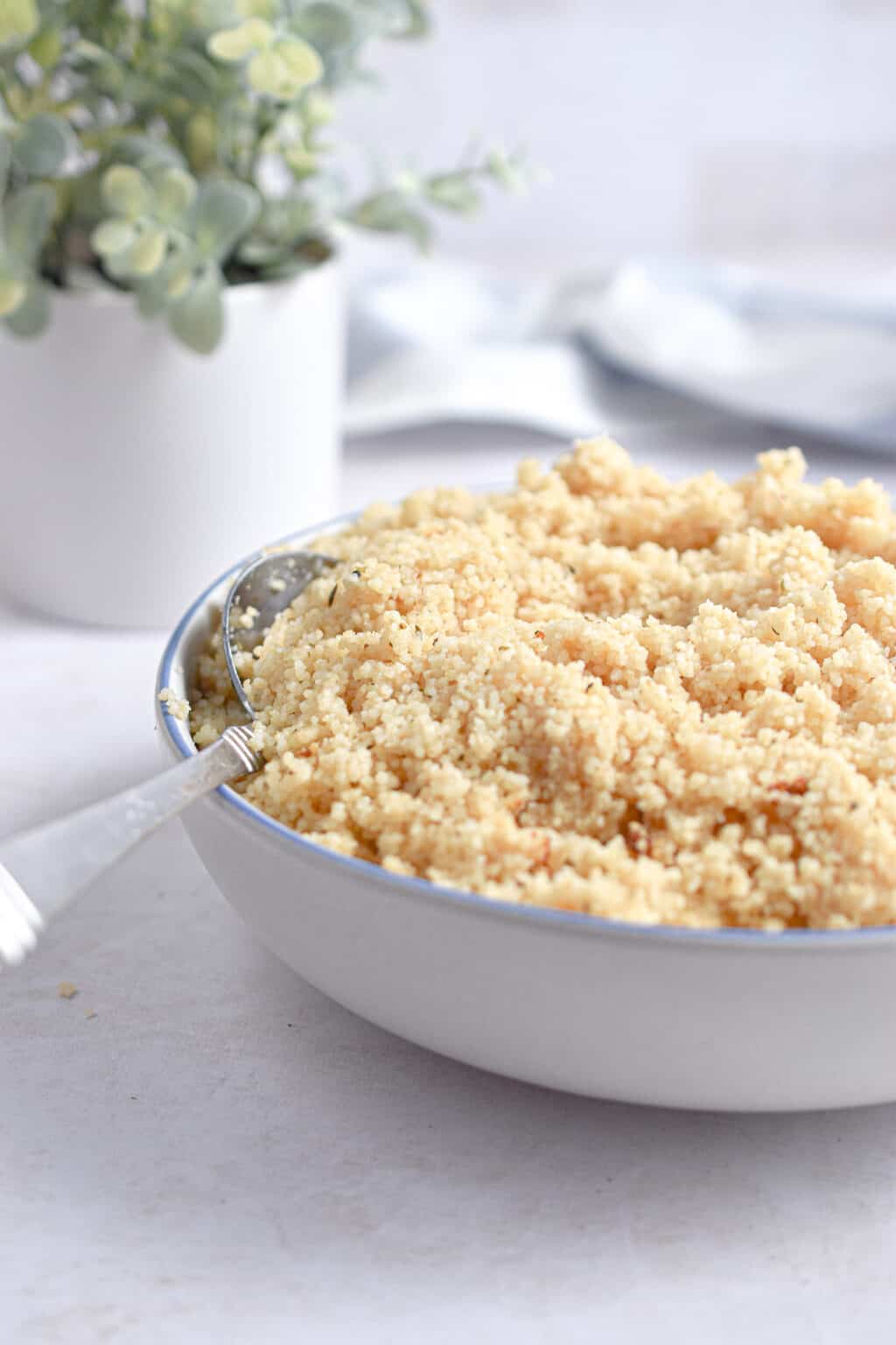 Simple Instant Pot Couscous - Lynn's Way of Life