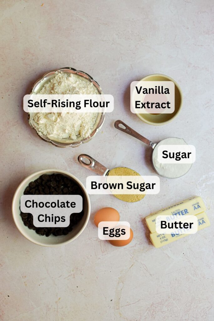 Chocolate Chip Cookies With Self-Rising Flour - Lynn's Way of Life