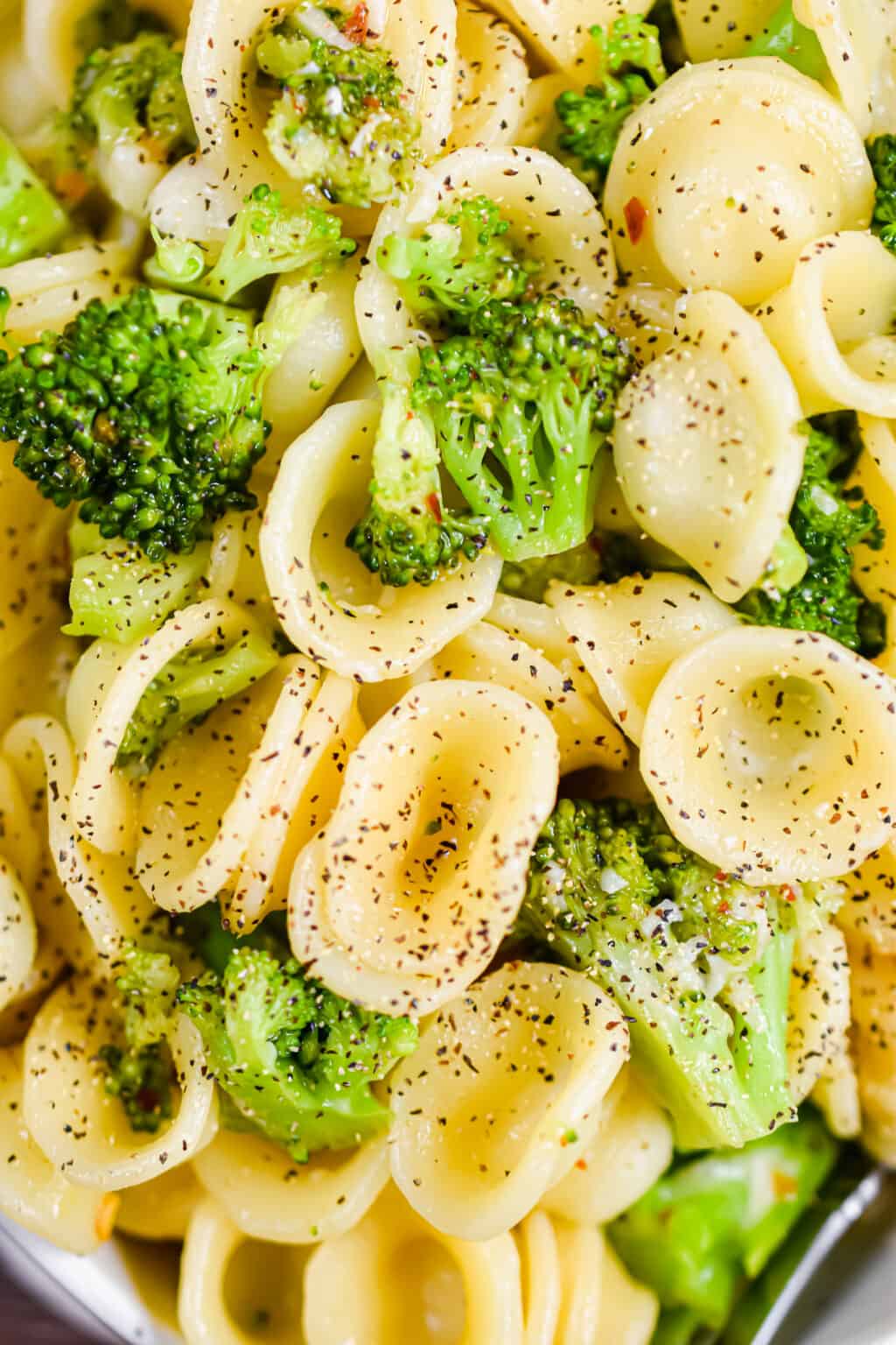 Italian Pasta with Broccoli Recipe - Lynn's Way of Life
