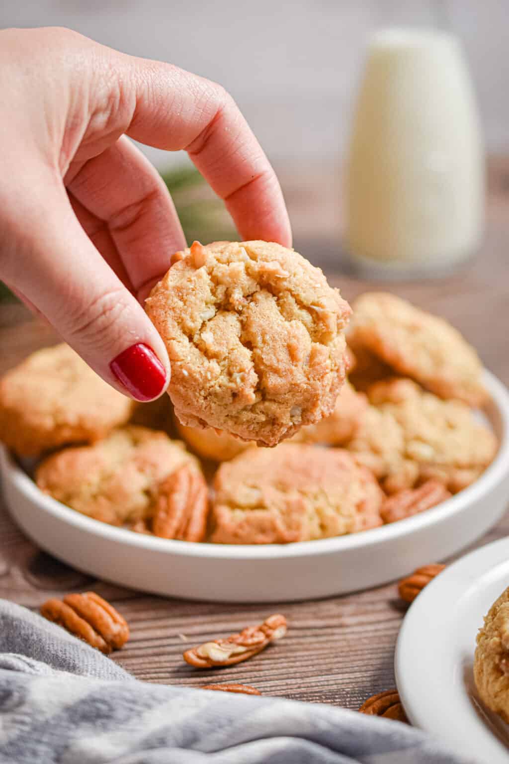 Coconut Pecan Cookies Recipe - Lynn's Way of Life