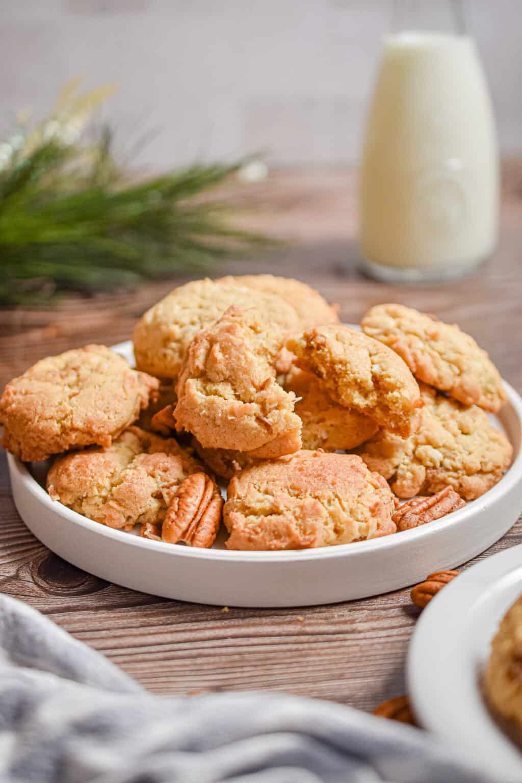 Coconut Pecan Cookies Recipe - Lynn's Way of Life