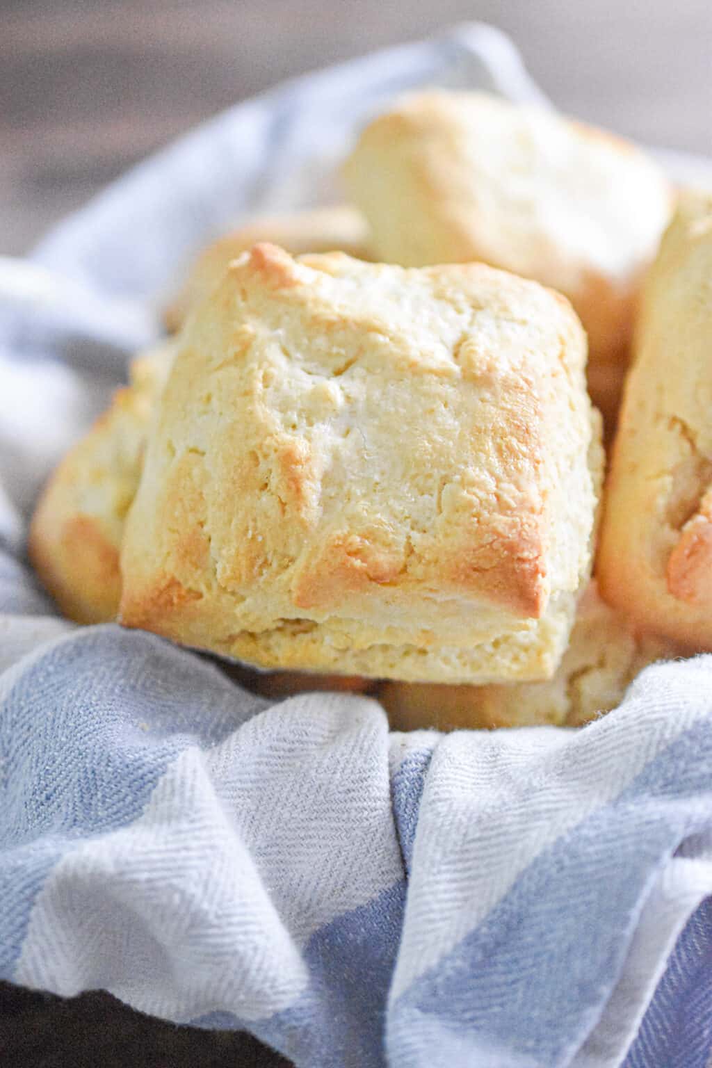 2 Ingredient Biscuits Recipe - Lynn's Way of Life