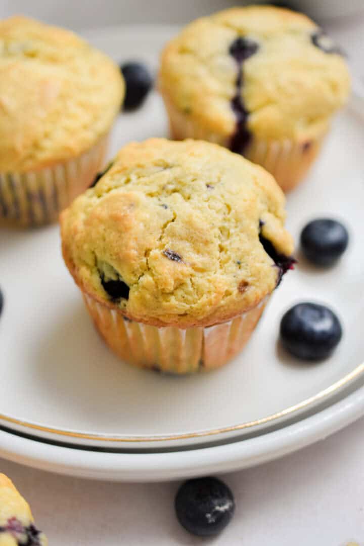 Blueberry Muffins with Self Rising Flour - Lynn's Way of Life