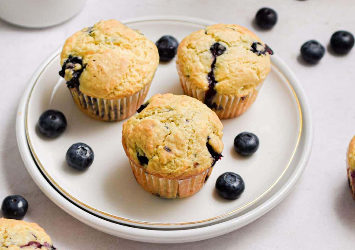 Blueberry Muffins with Self Rising Flour - Lynn's Way of Life