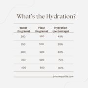 Sourdough Hydration (Everything You Need To Know!) - Lynn's Way of Life