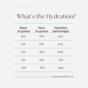 Sourdough Hydration (Everything You Need To Know!) - Lynn's Way of Life