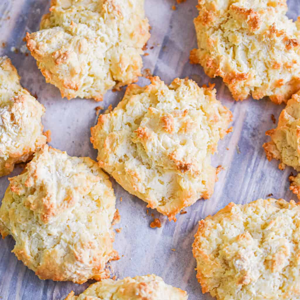 40+ Recipes with Self Rising Flour - Lynn's Way of Life