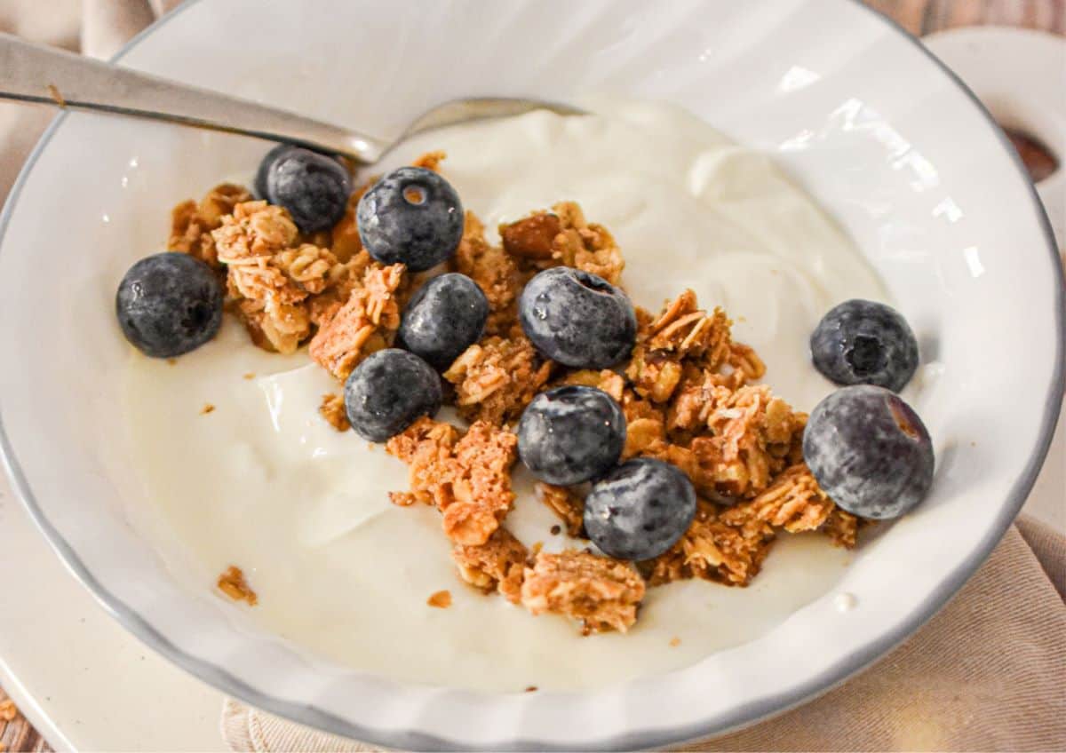 Homemade Yogurt Recipe (Instant Pot) - Lynn's Way of Life