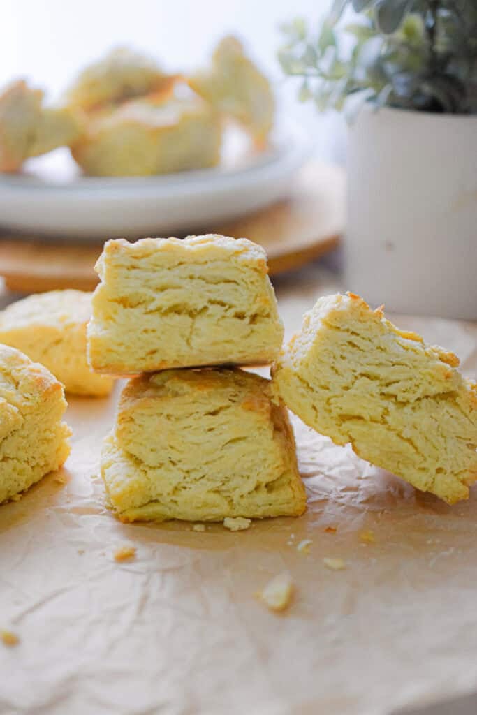 Self Rising Biscuits (only 3 Ingredients!) - Lynn's Way of Life